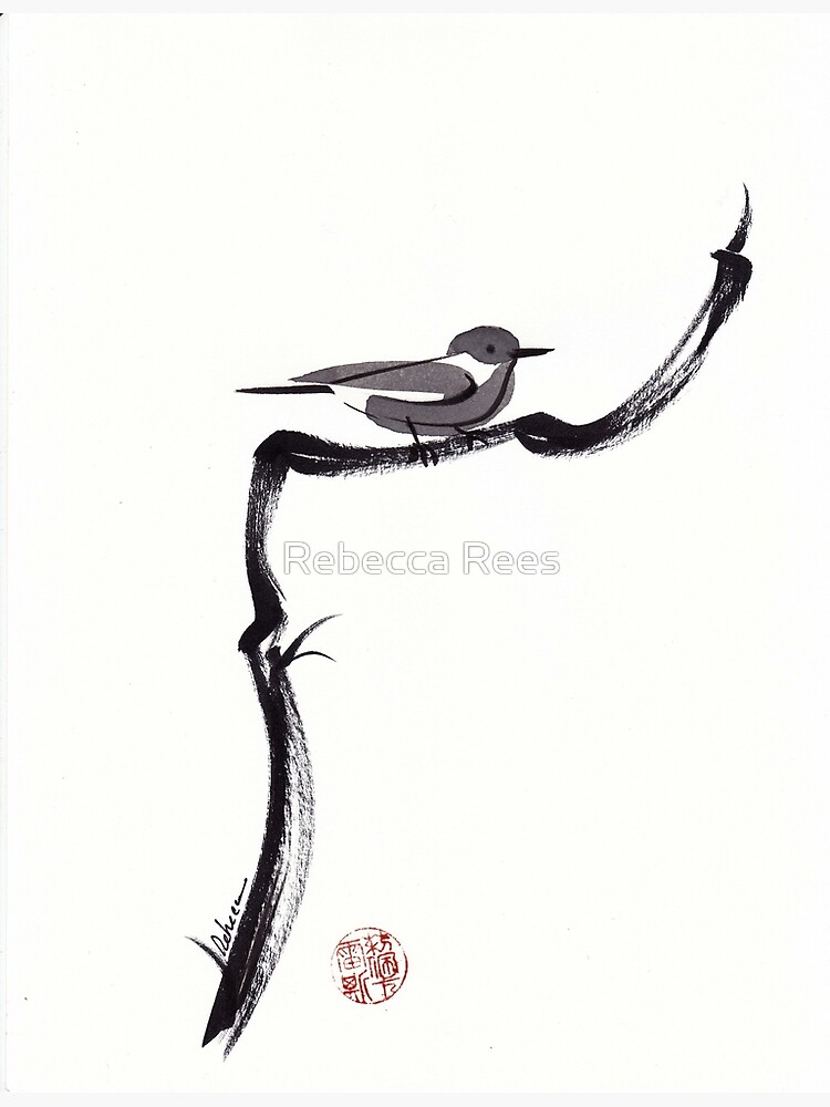 Robin pen ink top and watercolour of