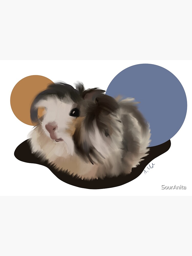 "Calico Guinea Pig" Poster for Sale by SourAnita | Redbubble