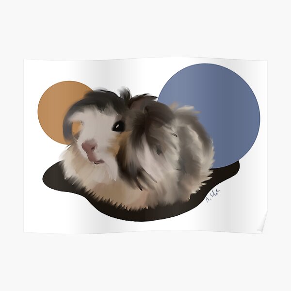 "Calico Guinea Pig" Poster for Sale by SourAnita | Redbubble