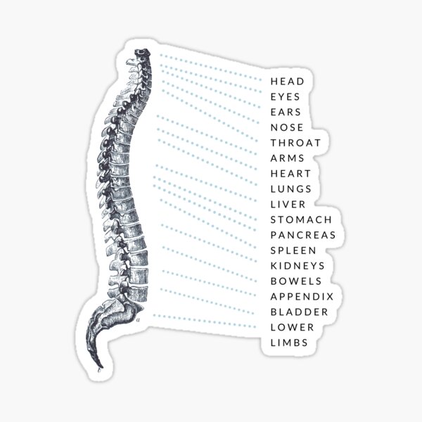 "Where the spine affects the body" Sticker by MRBrown2 | Redbubble