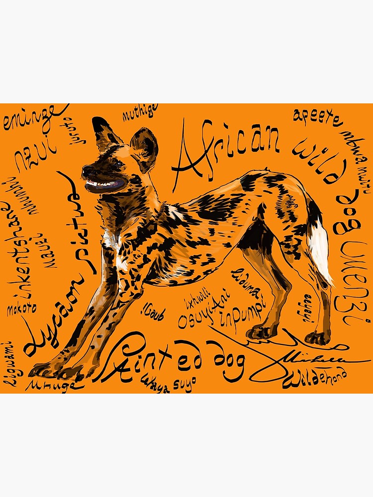 "Painted dog, Lycaon pictus" Art Print for Sale by michdevilish | Redbubble