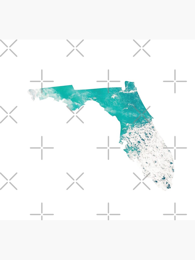 "Florida State Scenery" Poster for Sale by ImTy | Redbubble