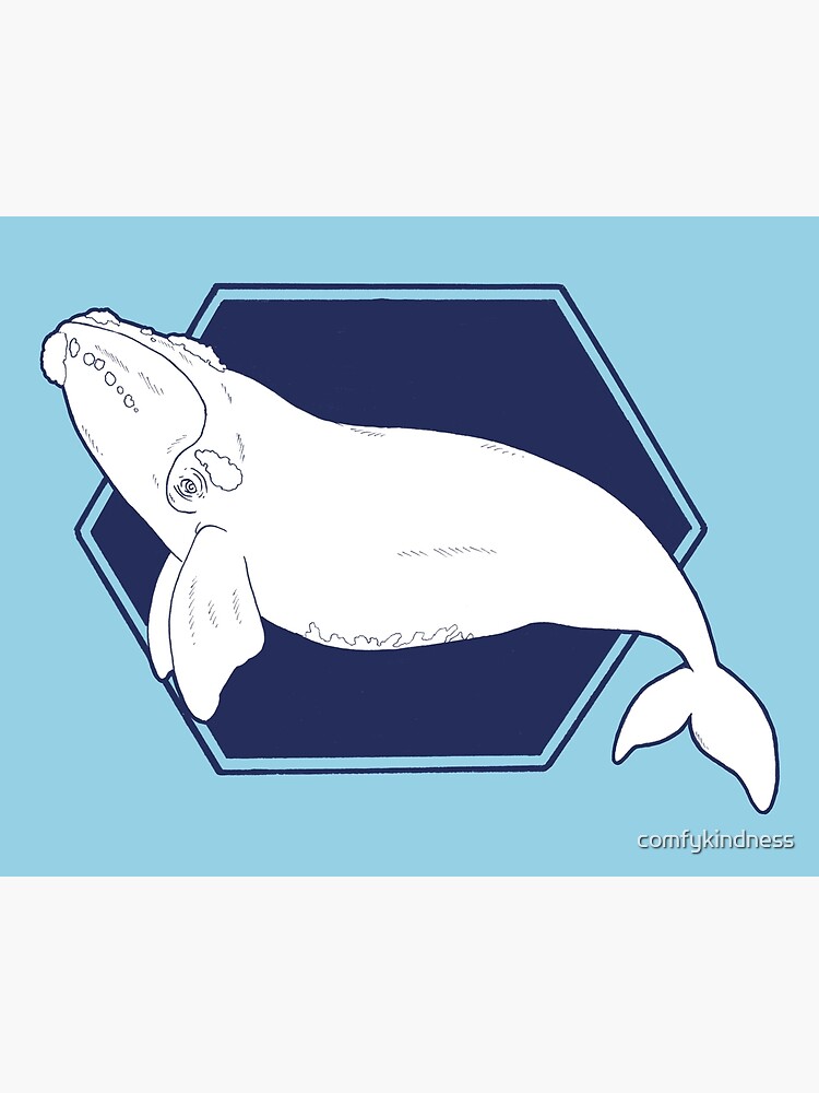 "Save The Whales - North Atlantic Right Whale (no words)" Poster by ...