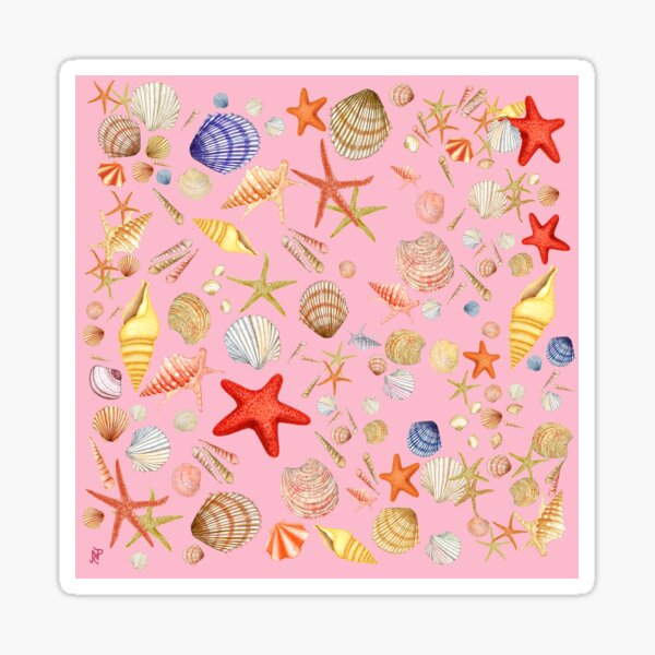 "Pink Seashells" Sticker by NPrintsDesign | Redbubble
