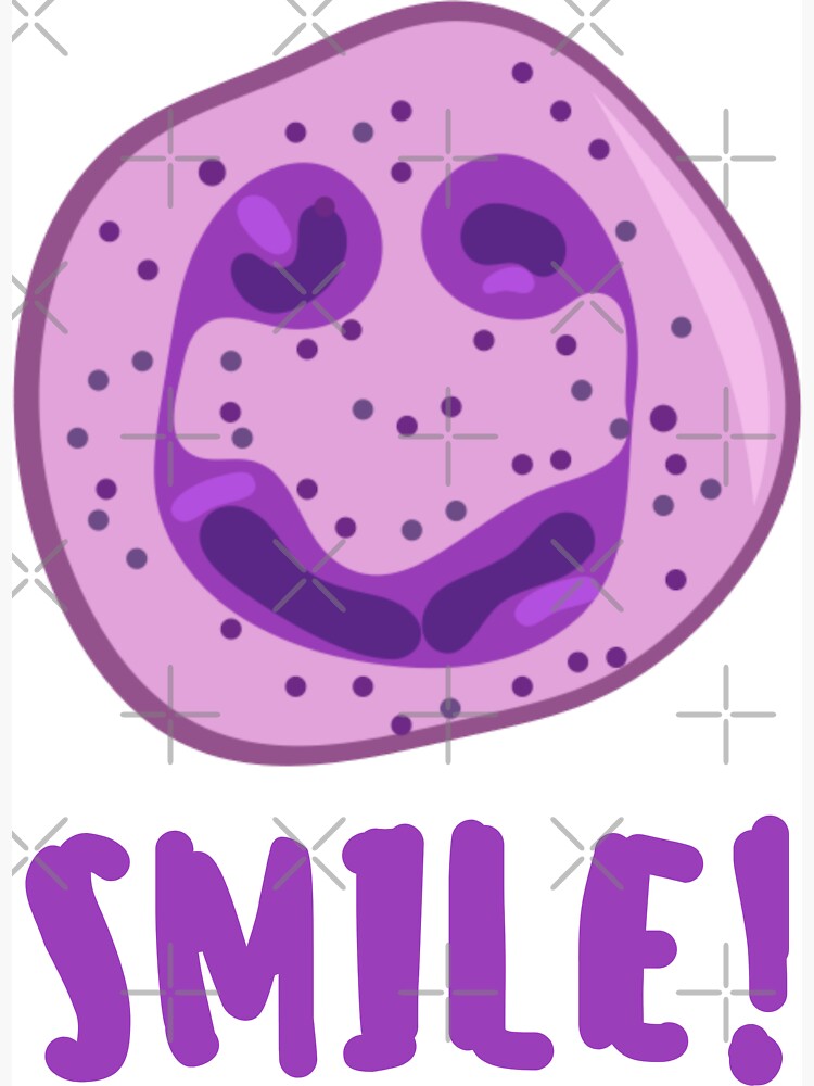 "White Blood Cell Smiling Neutrophil" Magnet for Sale by twicetrader ...