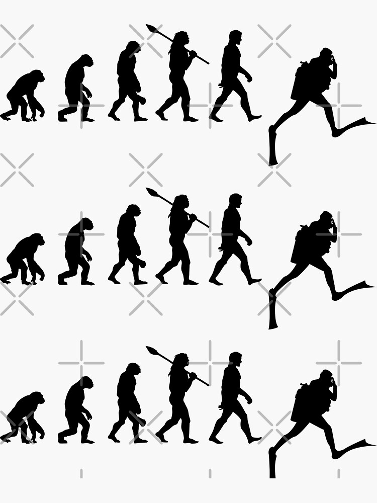 "Scuba Diving Evolution" Sticker by Poloy | Redbubble