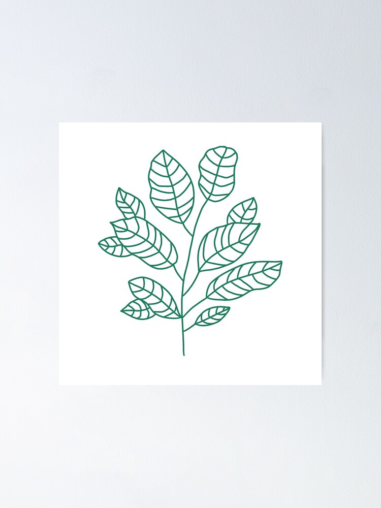 "Modern Leafy Green Fiddle-Leaf Fig Plant Outline - White Background ...