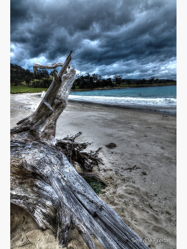 "Driftwood HDR - Rheban Beach, Orford, Tasmania, Australia" Framed Art ...