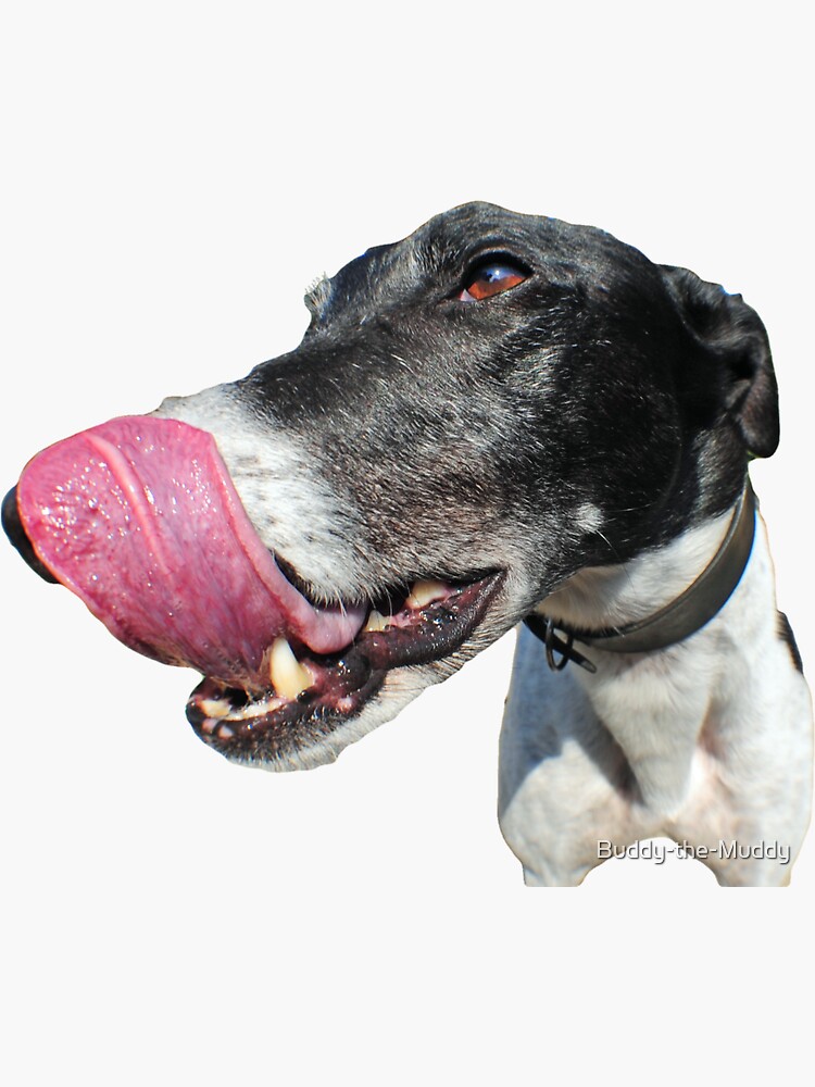 "Barney tongue" Sticker by Buddy-the-Muddy | Redbubble