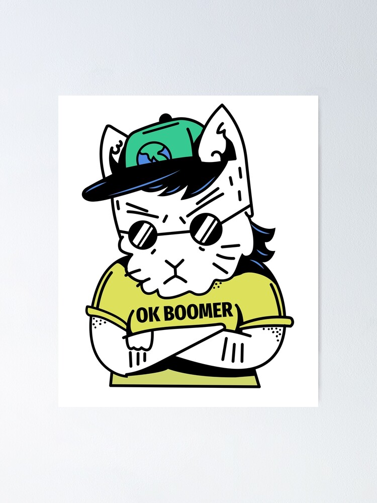 "Ok Boomer" Poster by SamandAmyCo | Redbubble