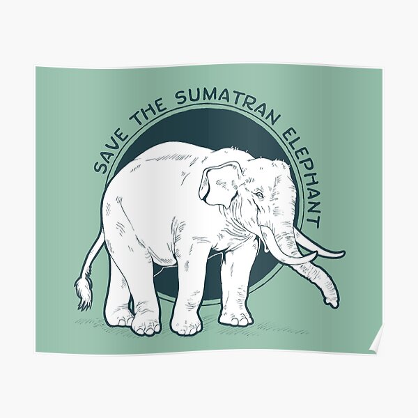 Save The Elephant Posters | Redbubble
