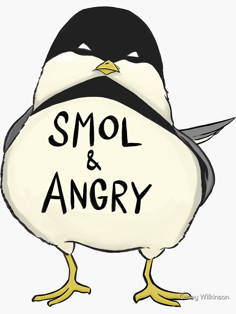 "Smol and Angry Chickadee" Sticker for Sale by ladysparrowhawk | Redbubble