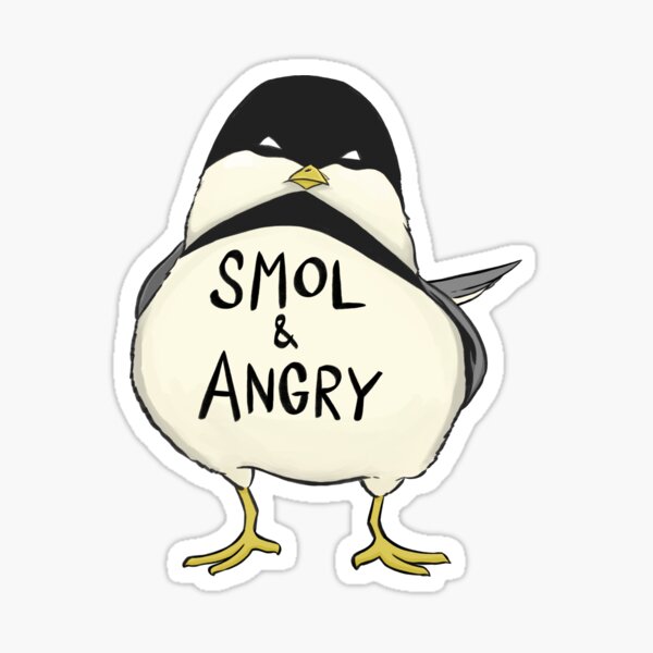 "Smol and Angry Chickadee" Sticker for Sale by ladysparrowhawk | Redbubble