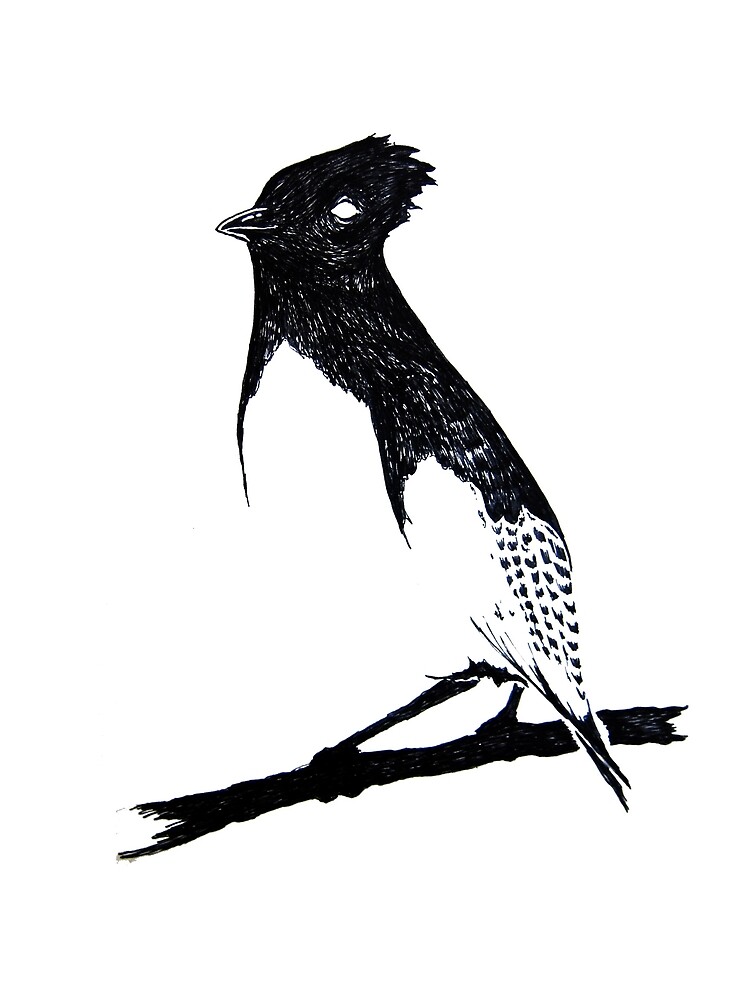 "Corvidae ink drawing" Poster by CiaranDorney | Redbubble