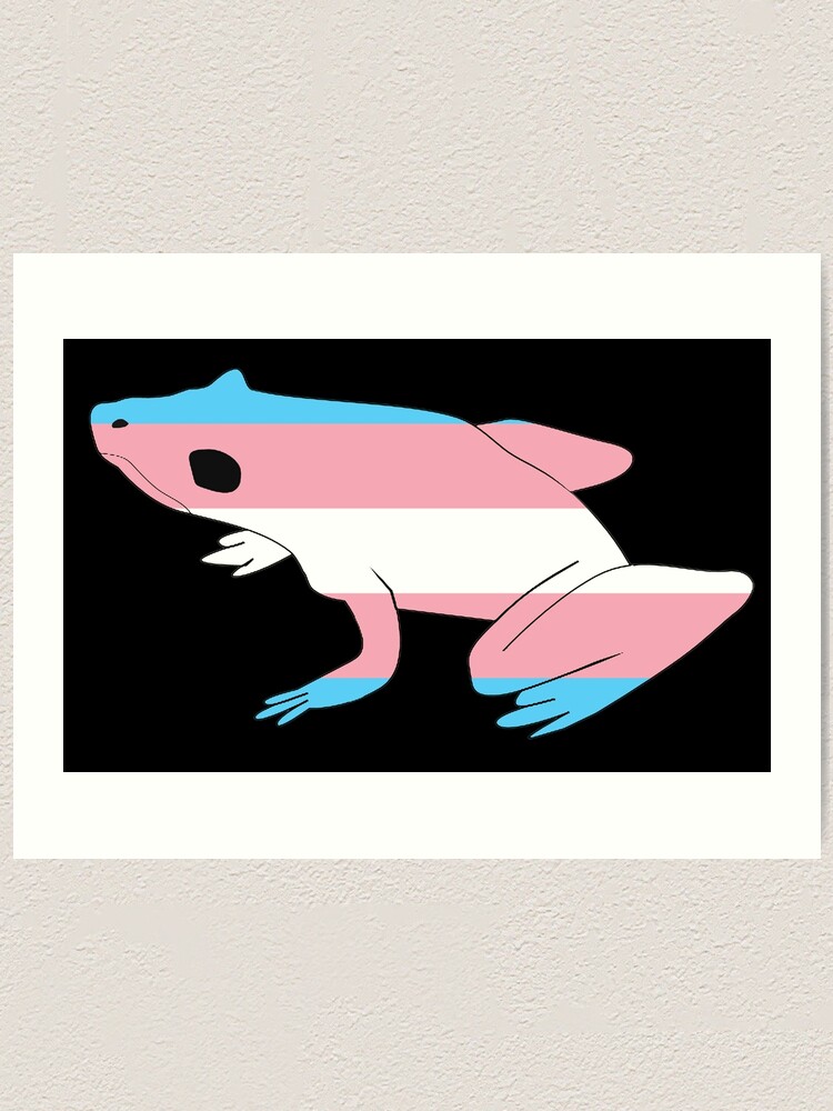 "Trans Flag Frog" Art Print for Sale by Cllmp | Redbubble