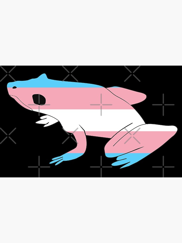 "Trans Flag Frog" Art Print for Sale by Cllmp | Redbubble
