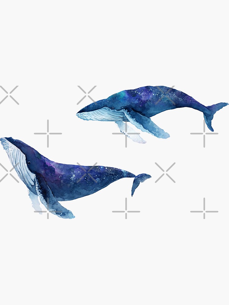 "Hydro Flask stickers - ocean blue whale galaxy space | Sticker pack ...