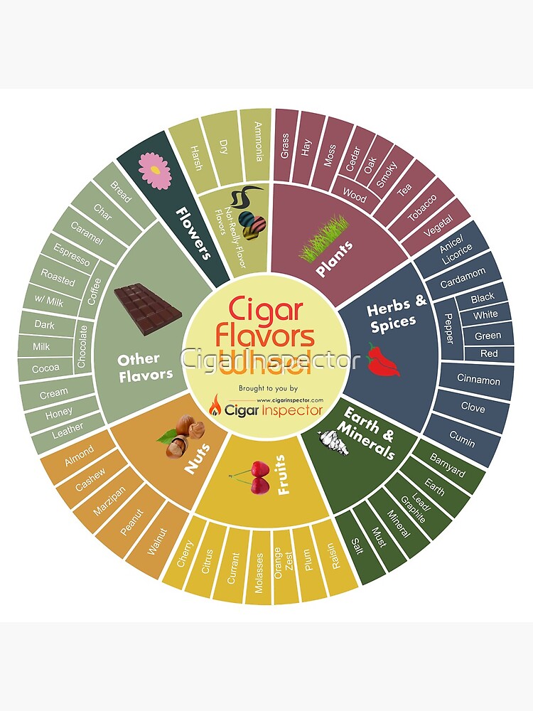 "Cigar Flavors Wheel poster" Poster for Sale by CigarInspector | Redbubble