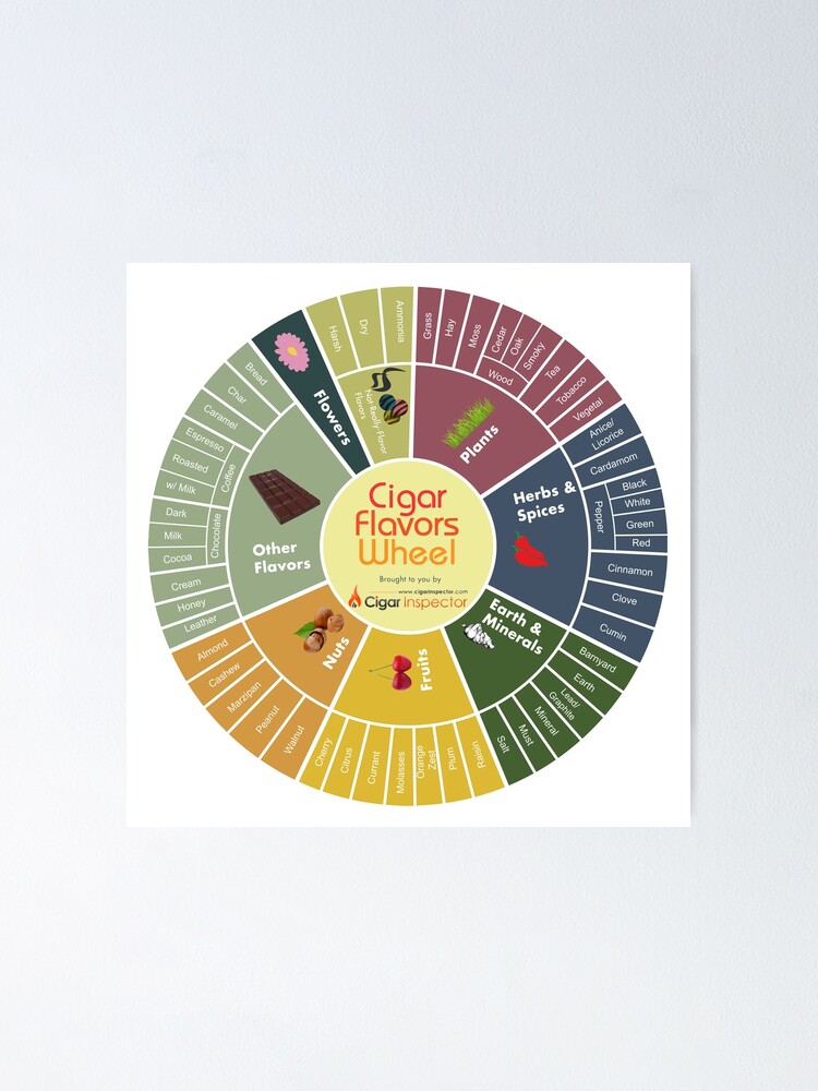 "Cigar Flavors Wheel poster" Poster for Sale by CigarInspector | Redbubble