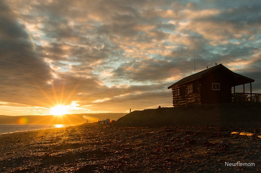 "Log Cabin Beach Sunset" by Newfiemom | Redbubble