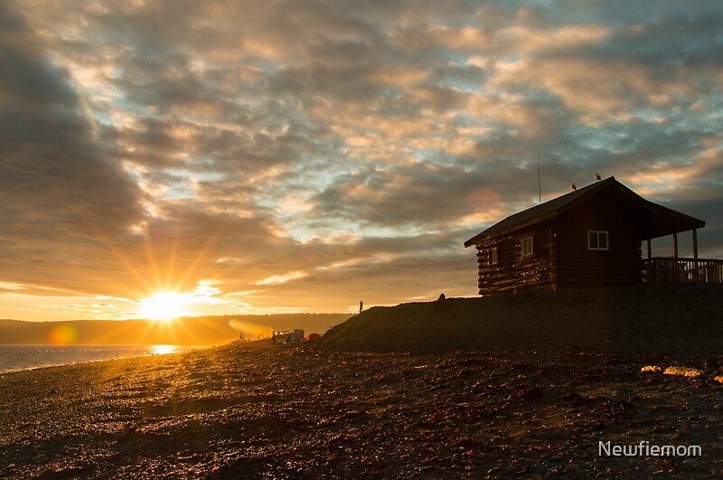 "Log Cabin Beach Sunset" by Newfiemom | Redbubble