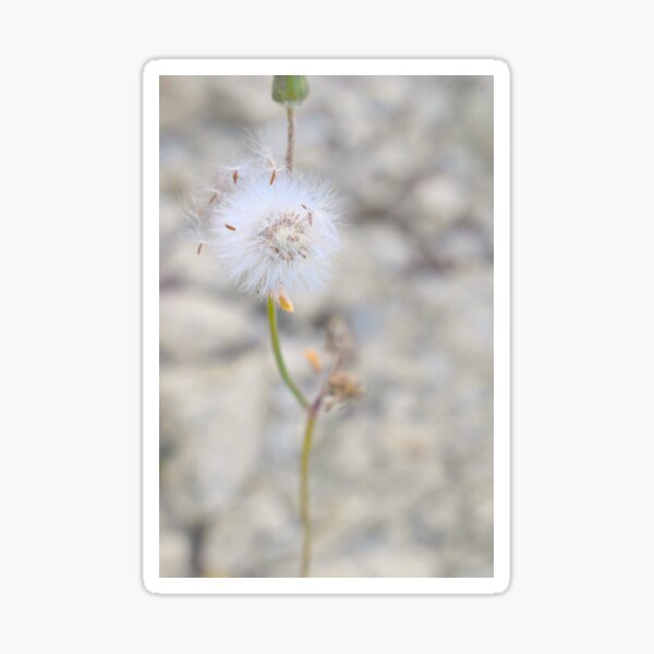 "Kaleidoscope Let it Flow" Sticker for Sale by visualdiarydots | Redbubble