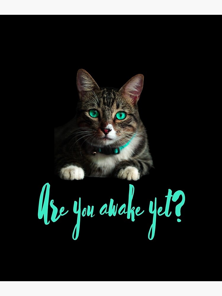 "Are You Awake Yet?" Poster for Sale by AtarangiDesigns | Redbubble