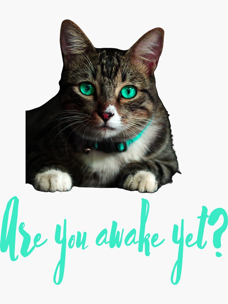 "Are You Awake Yet?" Sticker for Sale by AtarangiDesigns | Redbubble