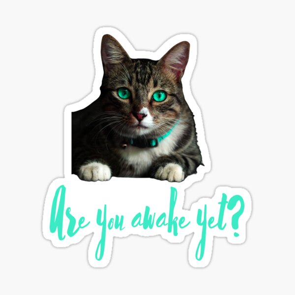 "Are You Awake Yet?" Sticker for Sale by AtarangiDesigns | Redbubble