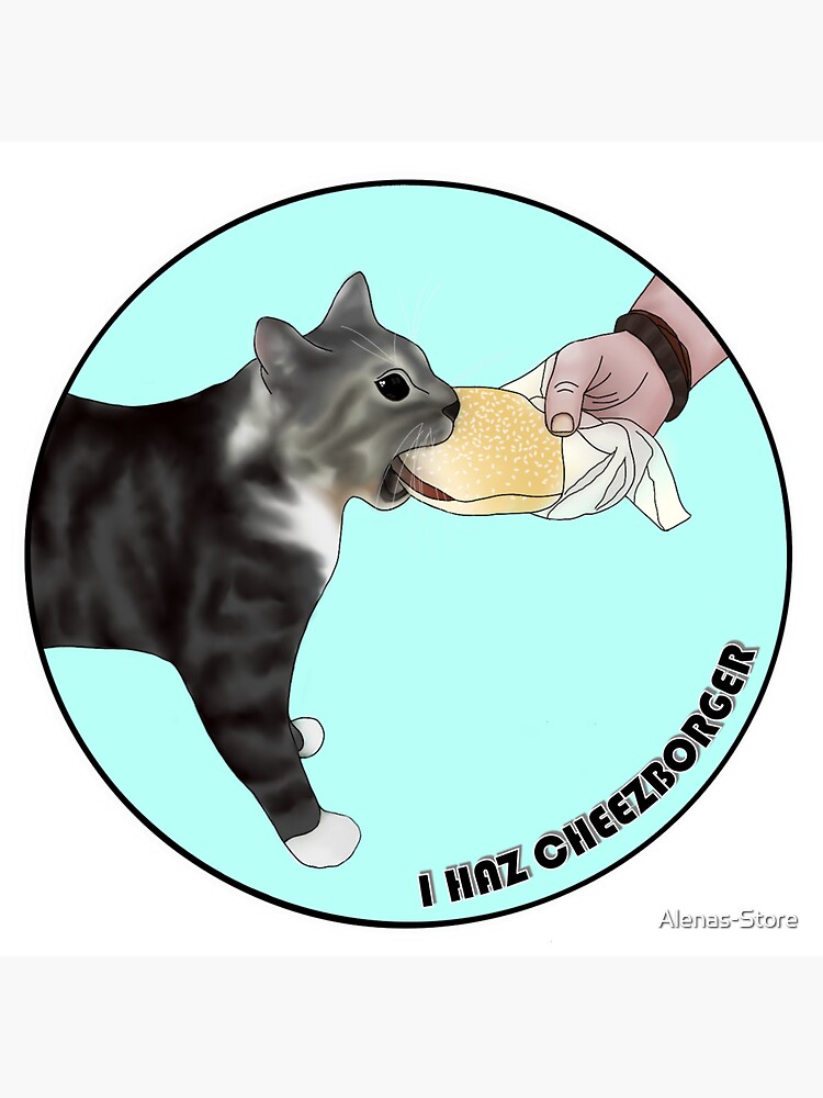 Cat Haz Memes