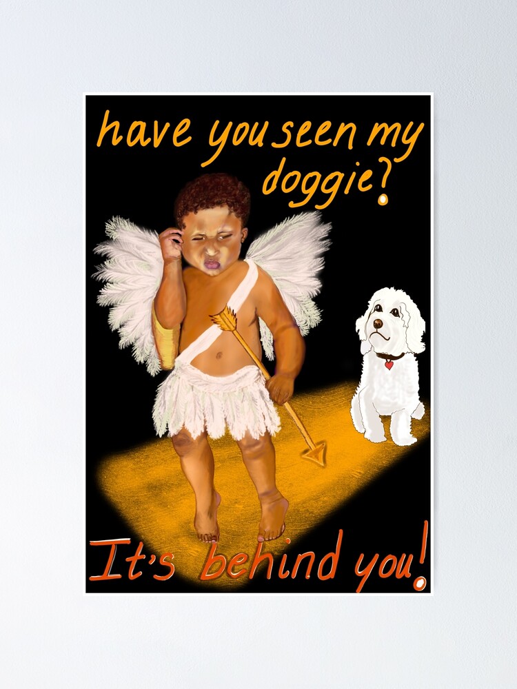 "Cavapoo Cavoodle Cavapoochon and the angel boy - cute cavalier King ...