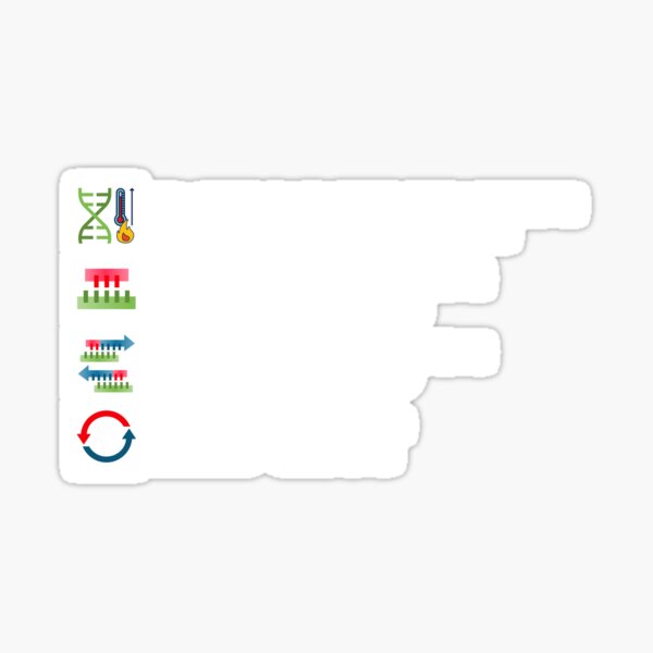 "PCR Process Steps of Polymerase Chain Reaction Molecular Biology ...