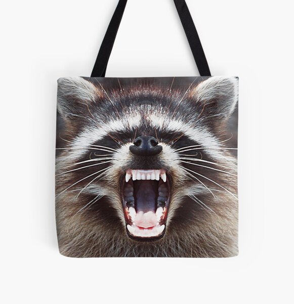 "Raccoon snarling closeup show teeth mouth nose tongue yarning face ...