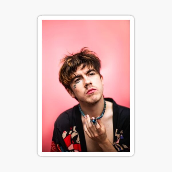 "Declan Mckenna " Sticker by BenKirk | Redbubble