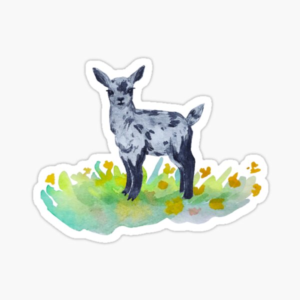 "Baby goat " Sticker for Sale by MyYellowBird | Redbubble
