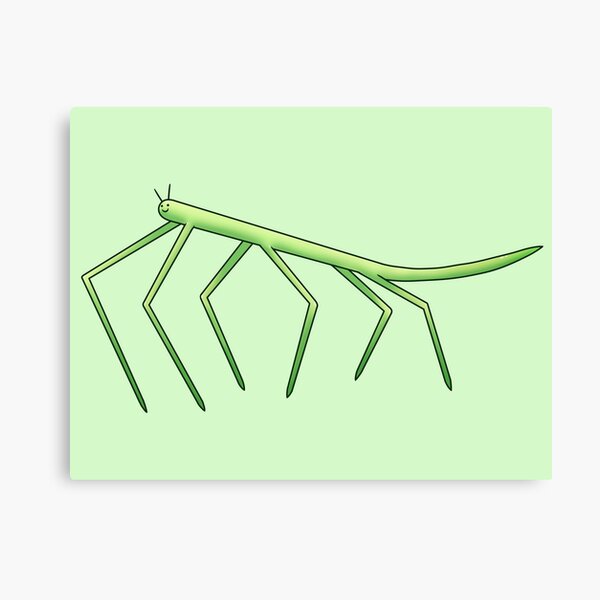 "Dancing Stick Bug Meme" Canvas Print for Sale by Seaotter9000 | Redbubble
