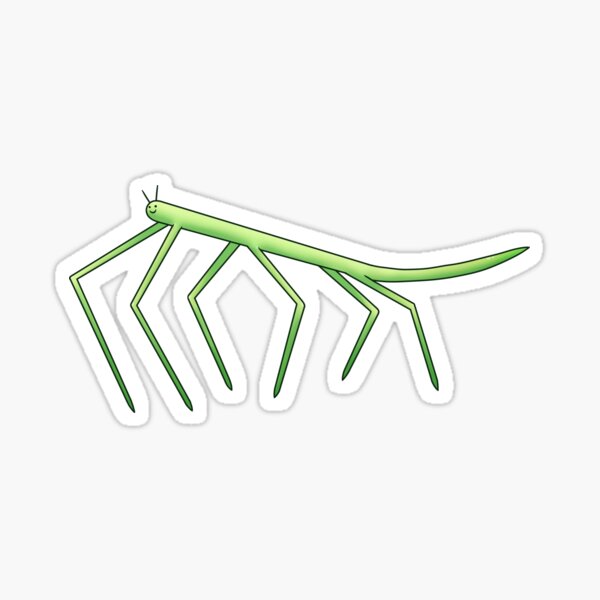 Stick Bug Stickers | Redbubble