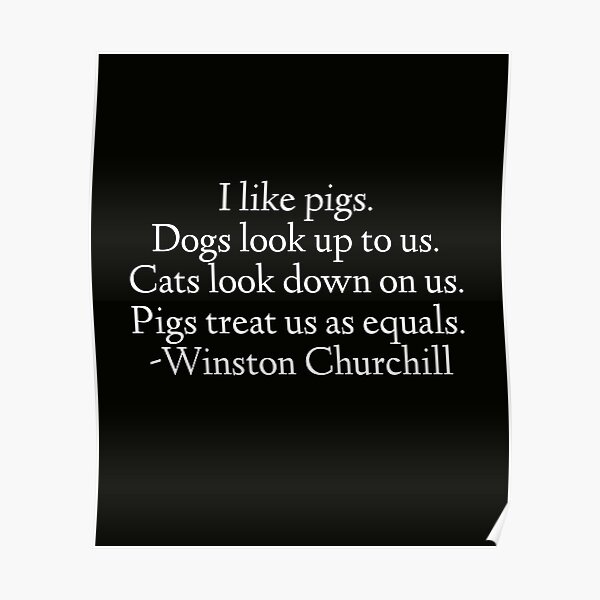 "Winston Churchill Quote - I Like Pigs" Poster by StoaMart | Redbubble