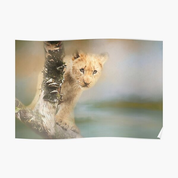 "Scared Lion Cub" Poster for Sale by fineart2017 | Redbubble