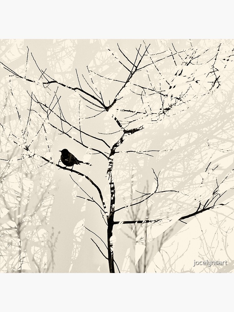 "Mockingbird in Tree Black Cream Silhouette" Poster for Sale by ...