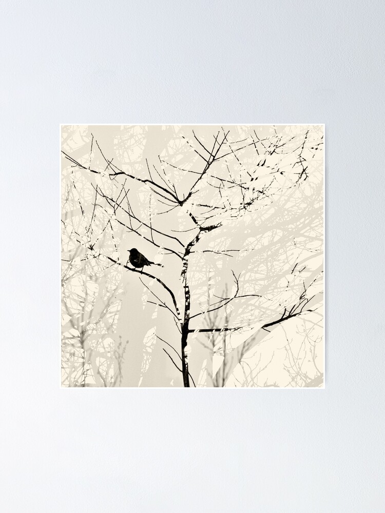 "Mockingbird in Tree Black Cream Silhouette" Poster for Sale by ...
