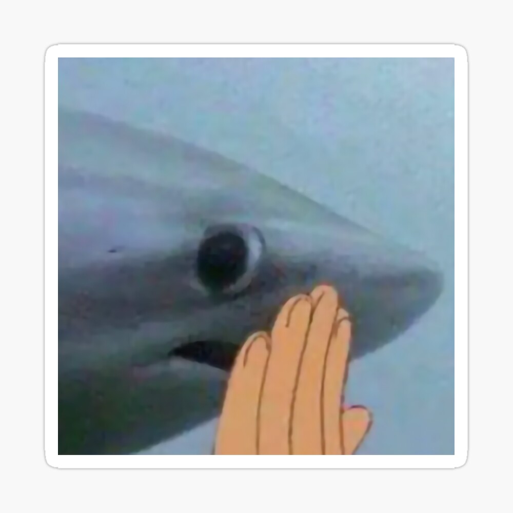 U Ok Shark Memes