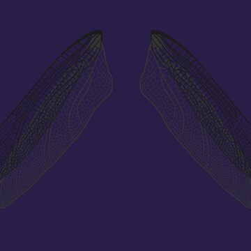 "Firefly wings" Sticker for Sale by christhurler | Redbubble