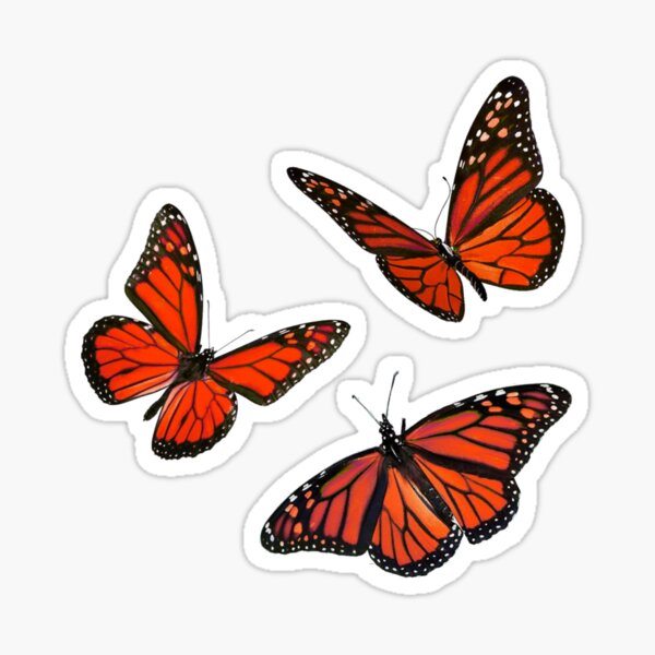 " monarch butterfly pack " Sticker by Ella3627 | Redbubble