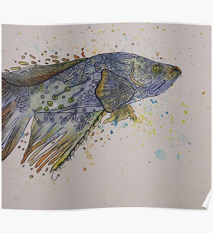 Betta Fish: Posters | Redbubble
