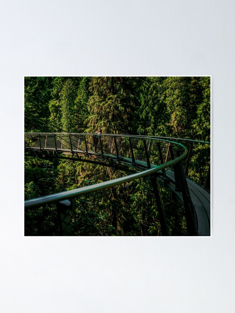 "Peaking over the Edge" Poster by Butters-photos | Redbubble