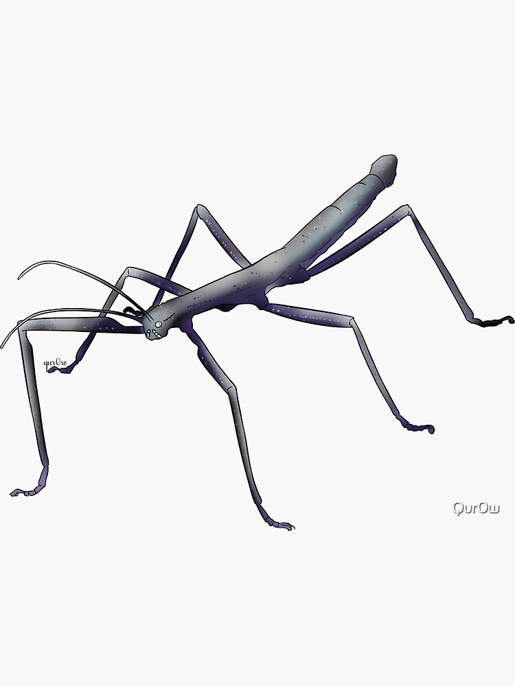 "Asexual Stick Bug" Sticker for Sale by Qur0w | Redbubble
