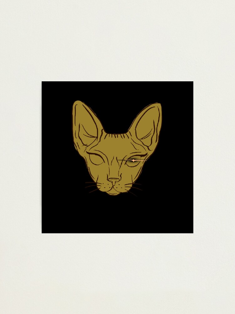 "Catwang" Photographic Print for Sale by visheoux | Redbubble