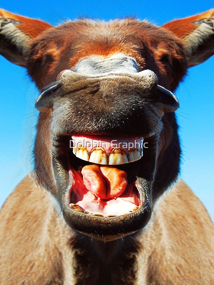 "Donkey Smiley showing Teeth and Tongue Smile Close up face Covering ...