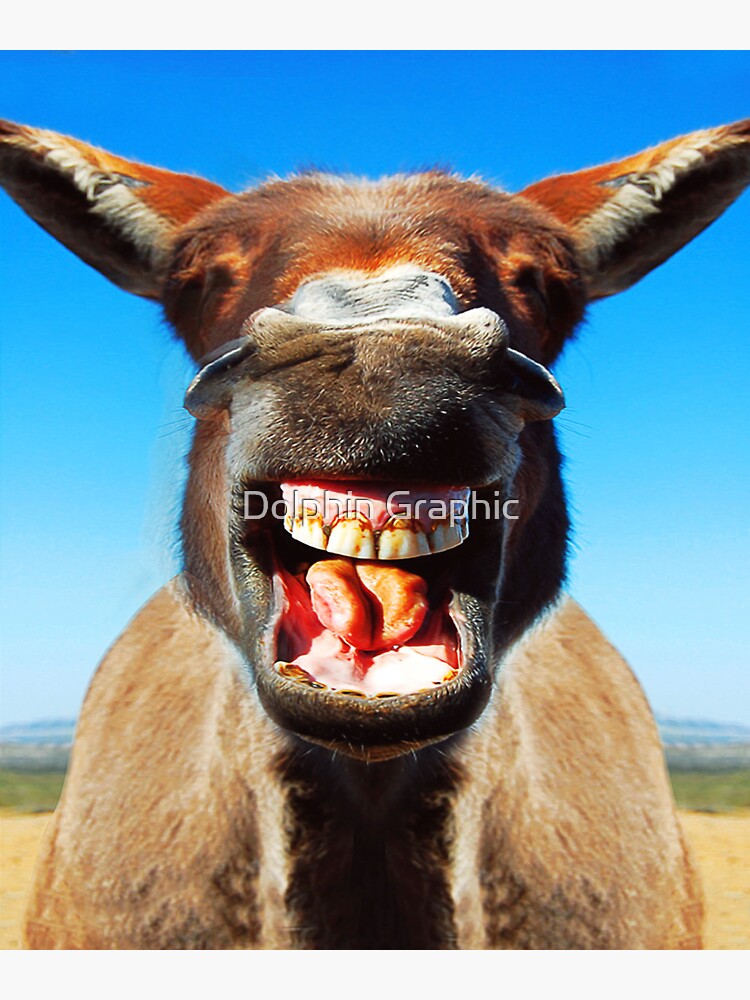 Pegatina «Burro Smiley mostrando los dientes y la lengua Sonrisa de ...